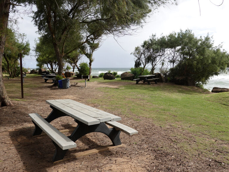 Kauai Campgrounds Guide (2026) – Best Legal Camping Spots