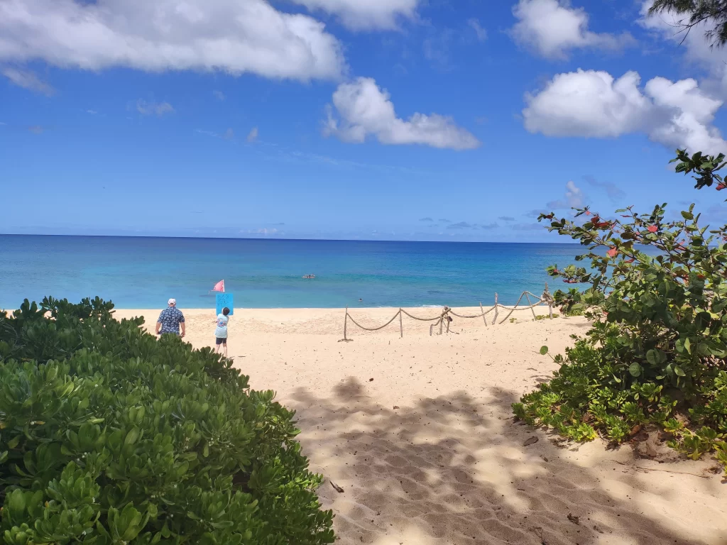 Best Beaches on Oahu in 2025 | Lemon Drop Campers